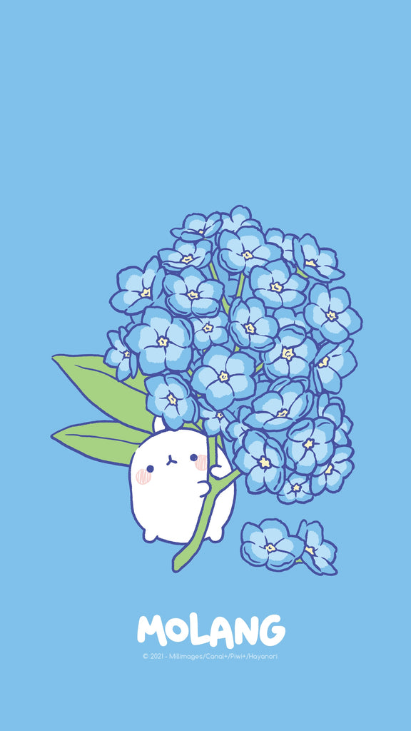 molang background