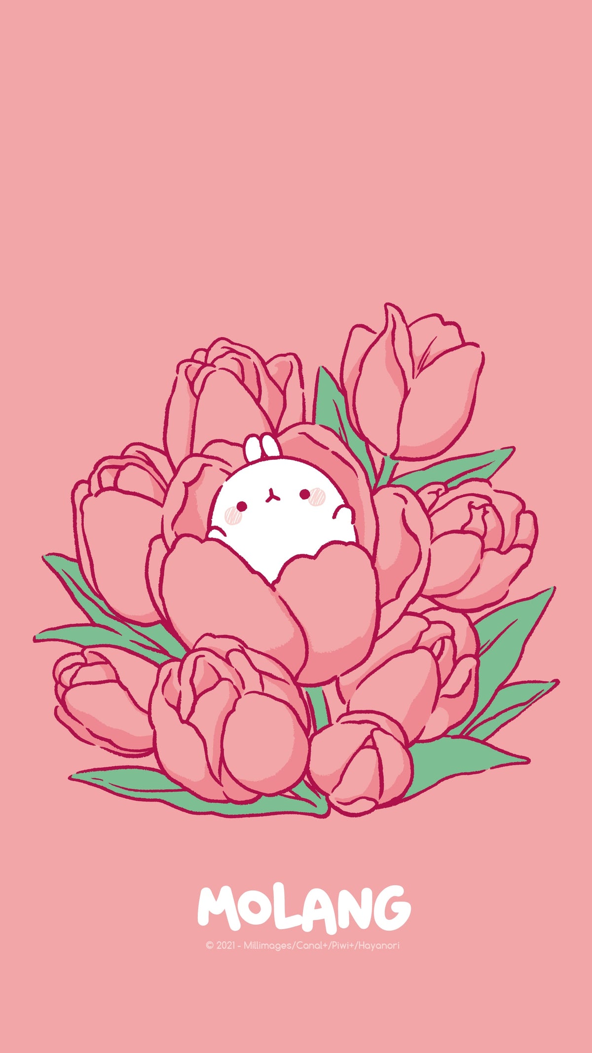 molang background