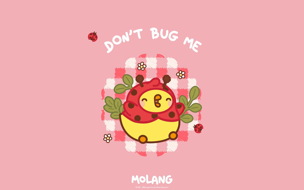 Piu Piu Ladybug - Wallpaper desktop 2 | Molang Official Website